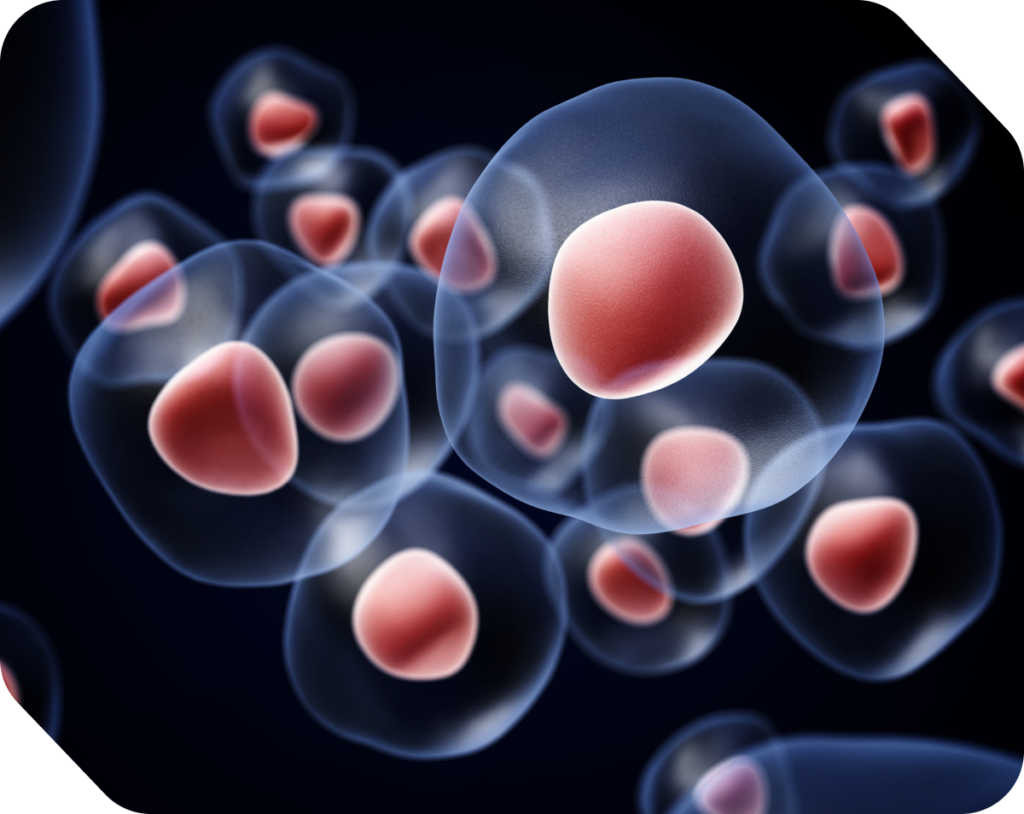 Use Cases - Algocell